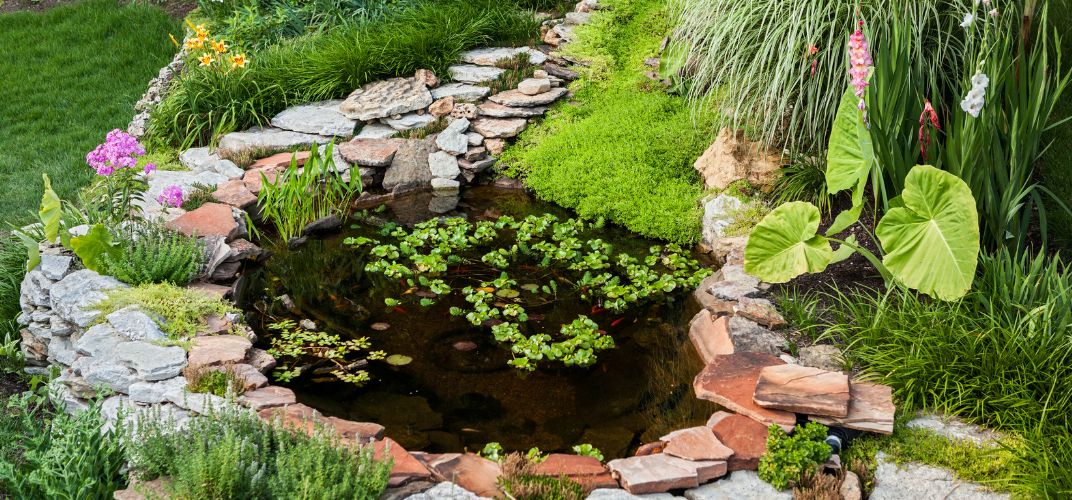 Jak dbać o oczko wodne? 5 praktycznych porad - Nawadnianie roślin - Rolmarket